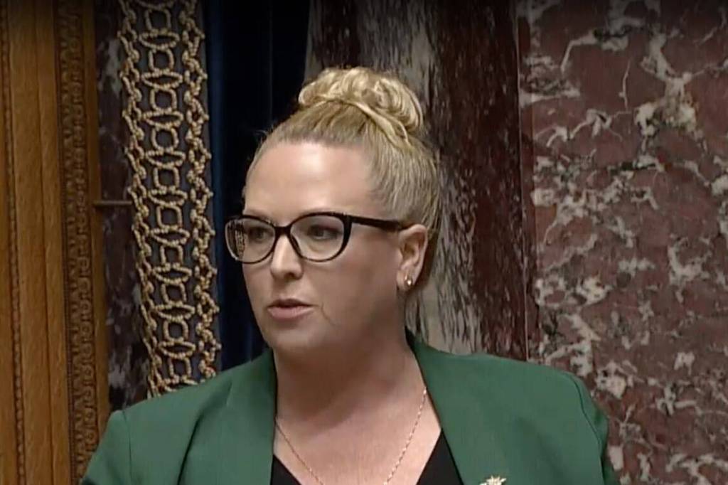 Chilliwack-Kent MLA presents petition in Legislature for adult Amber ...